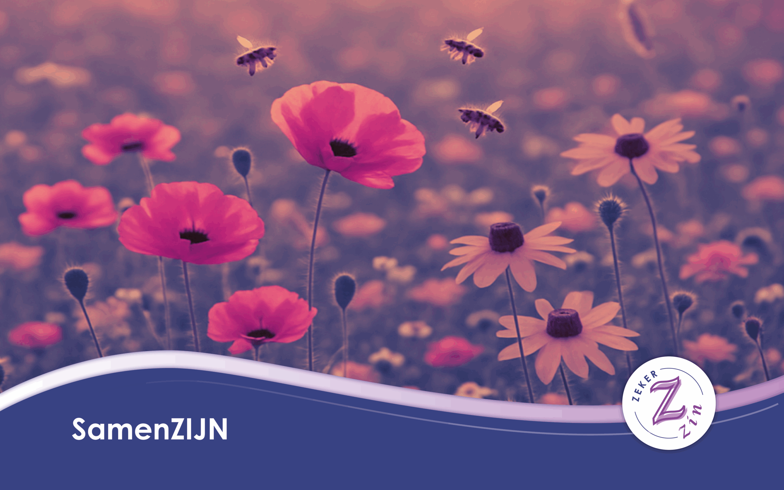 SamenZIJN - ZekerZin